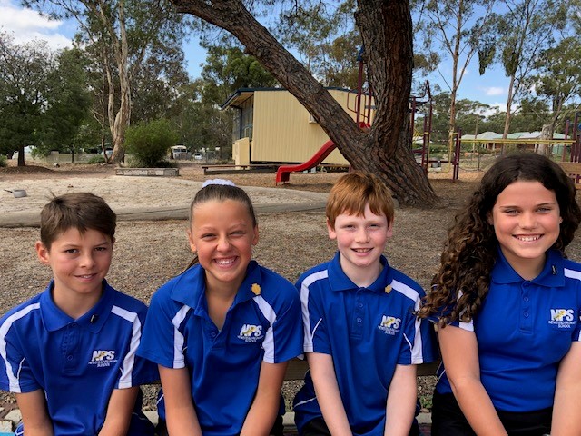 Newstead Primary School: Governance: Student Leadership